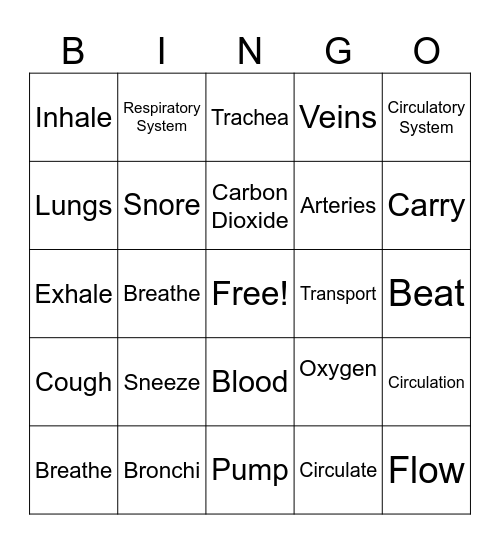 CIRCULATORY & RESPIRATORY SYSTEMS Bingo Card