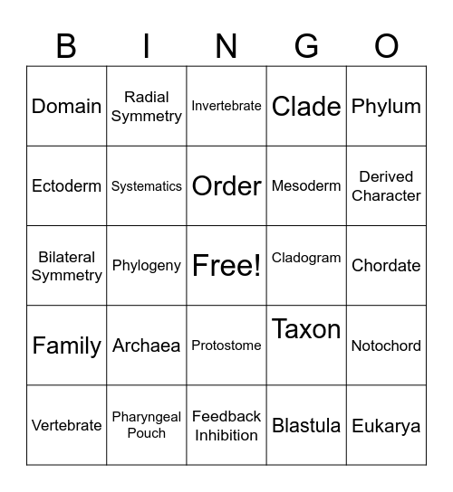 Vocabulary Bingo Card