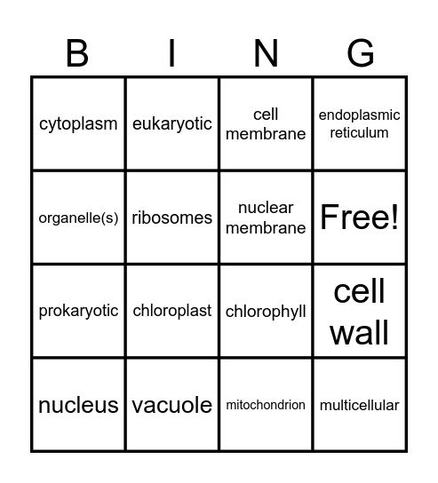 Cell Theory, Structures, and Functions Bingo Card
