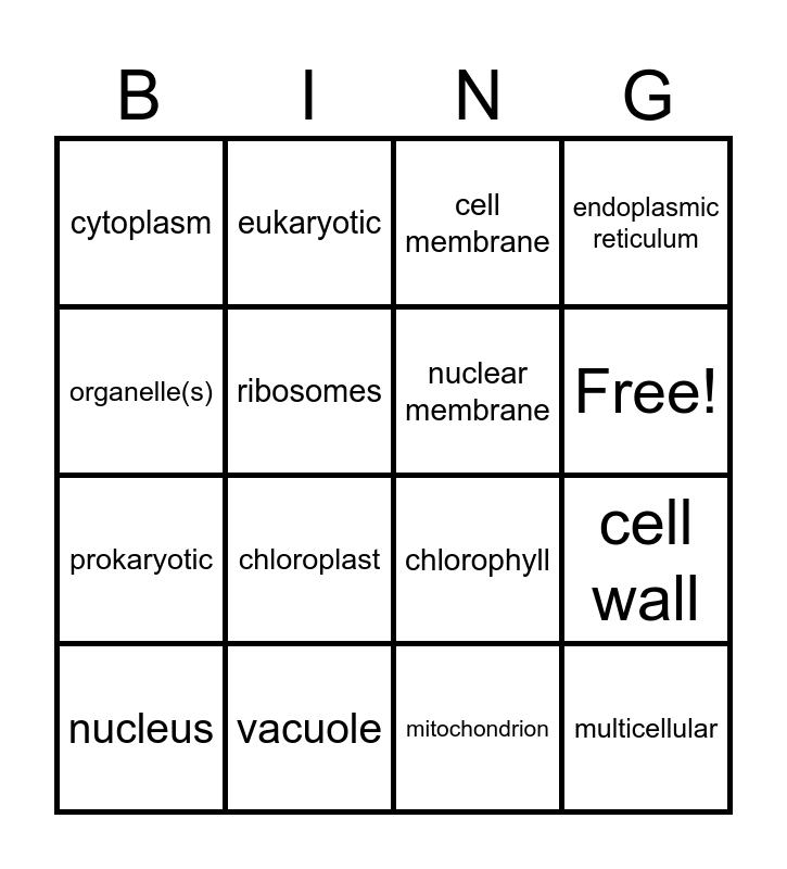 Cell Theory, Structures, and Functions Bingo Card