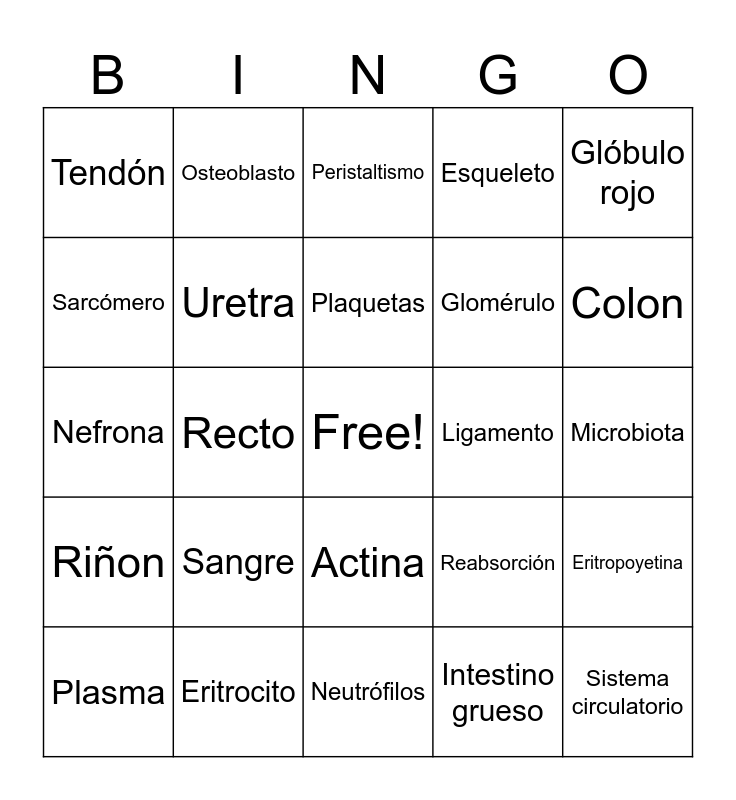 Bingo de fisiología: Descubre el cuerpo humano Bingo Card