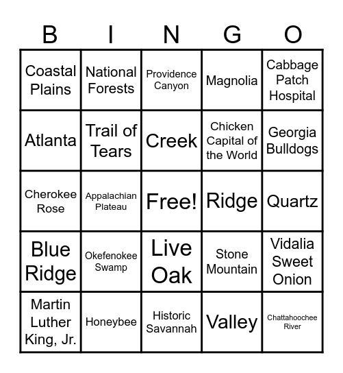 Georgia BINGO Card