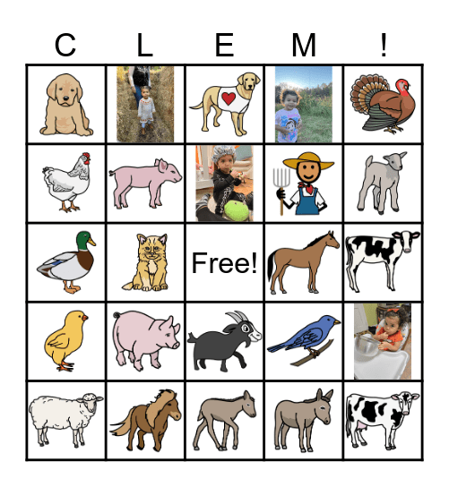 Farm Animal Bingo Card