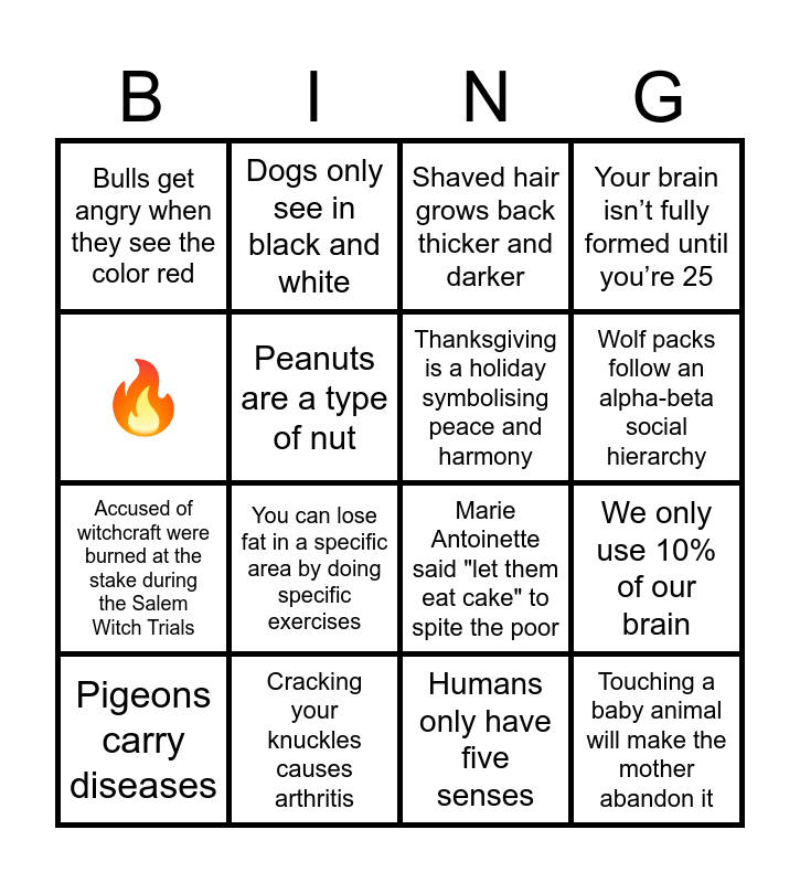 Common Myths Bingo Card