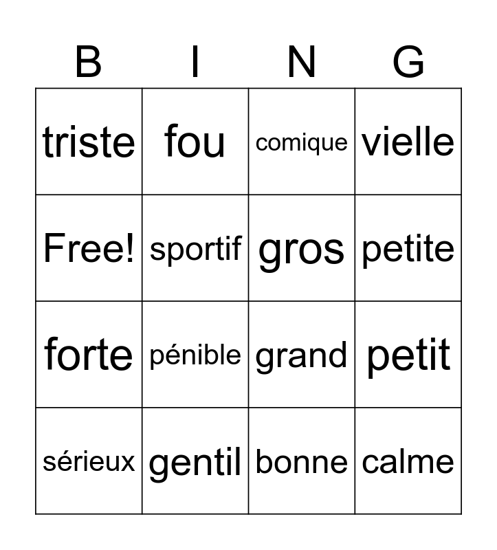 French Descriptions Bingo Card