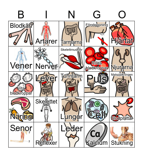 Kroppen Bingo Card