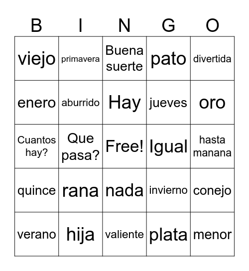 Vocabulario Bingo Card