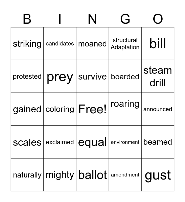 3rd grade vocabulary Bingo Card