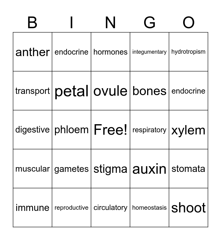 Systems Bingo Card