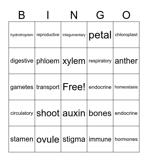 Systems Bingo Card