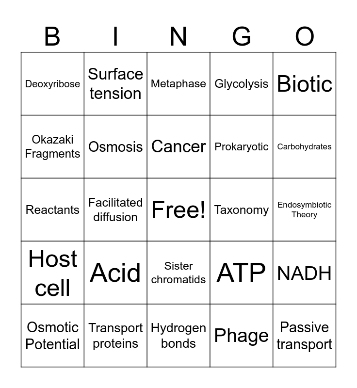 2024-2025 Semester A Biology Summative Review Bingo Card