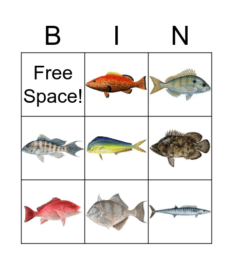 Floridian Fish Bingo Card