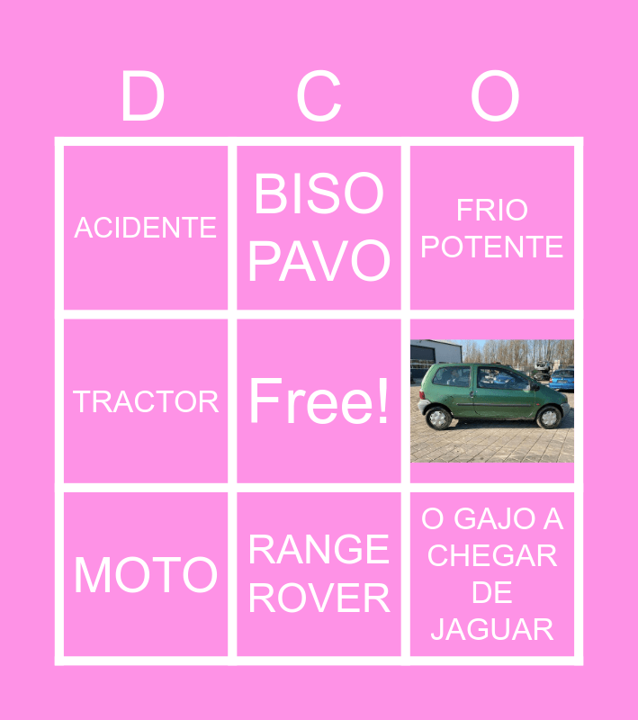 BINGO ROSA DO DÉCIO Bingo Card