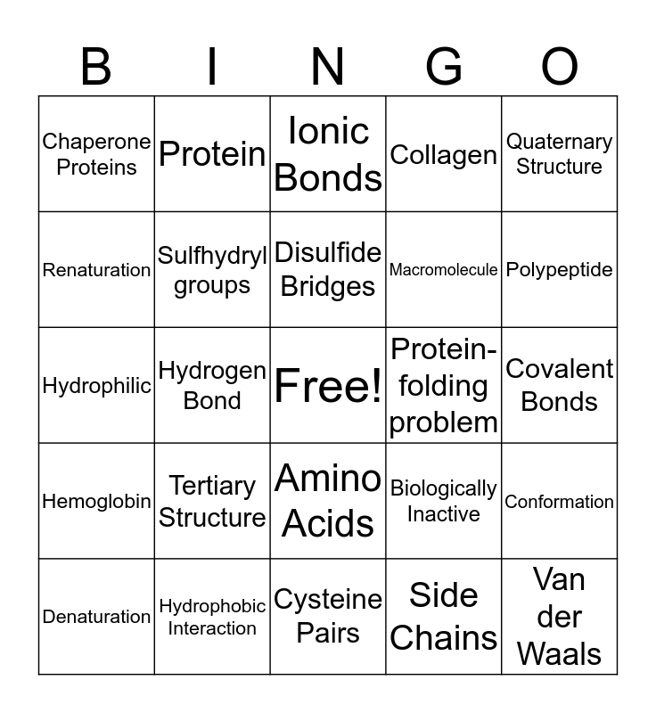 Tertiary & Quaternary Structures Bingo Card