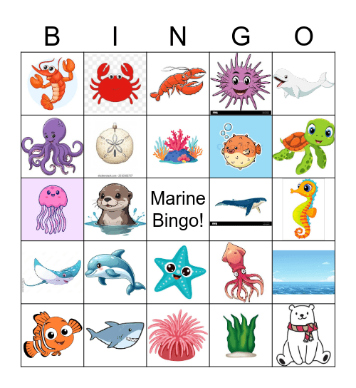 Marine Bingo Card