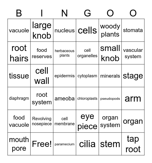 Organs and Cells Bingo Card