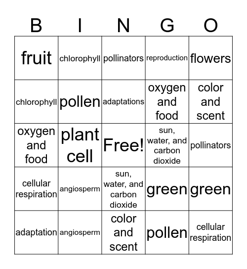 Plants Bingo Card