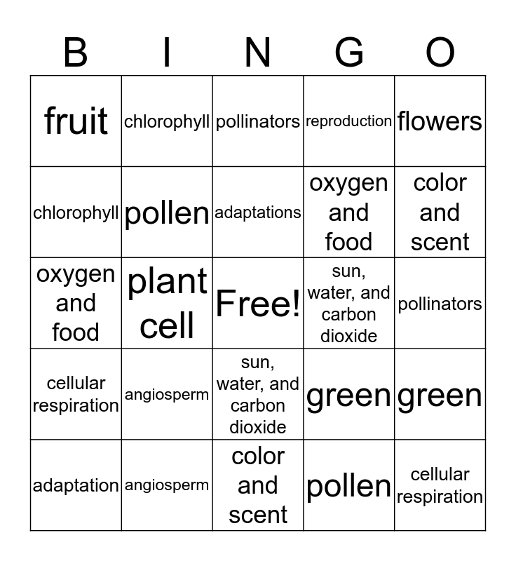 Plants Bingo Card