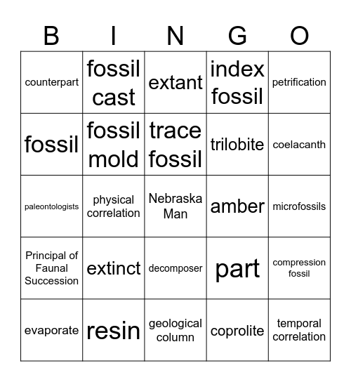 Lesson 7 Fossils Bingo Card