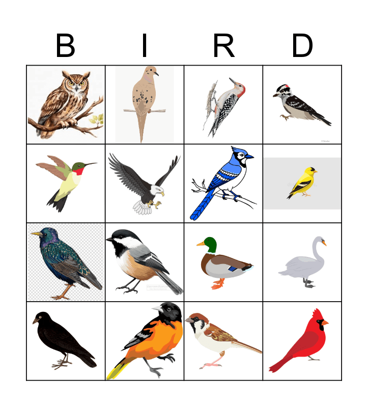 Backyard Birds Bingo Card
