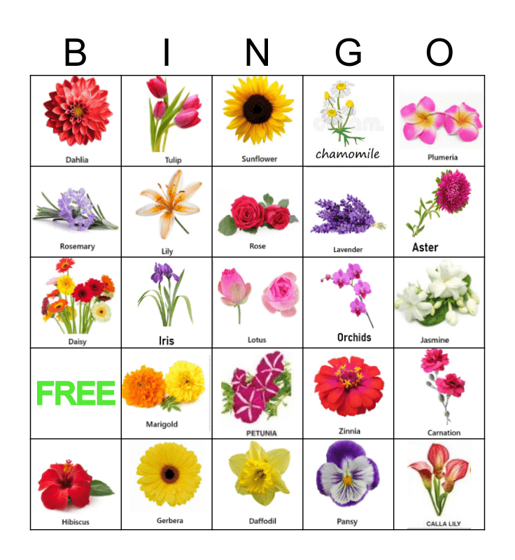 FLOWERS Bingo Card