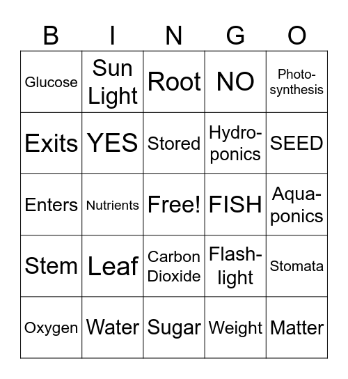 Plant Growth Bingo Card