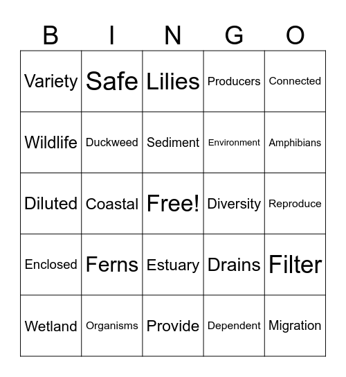 Wetlands vs Estuaries Bingo Card