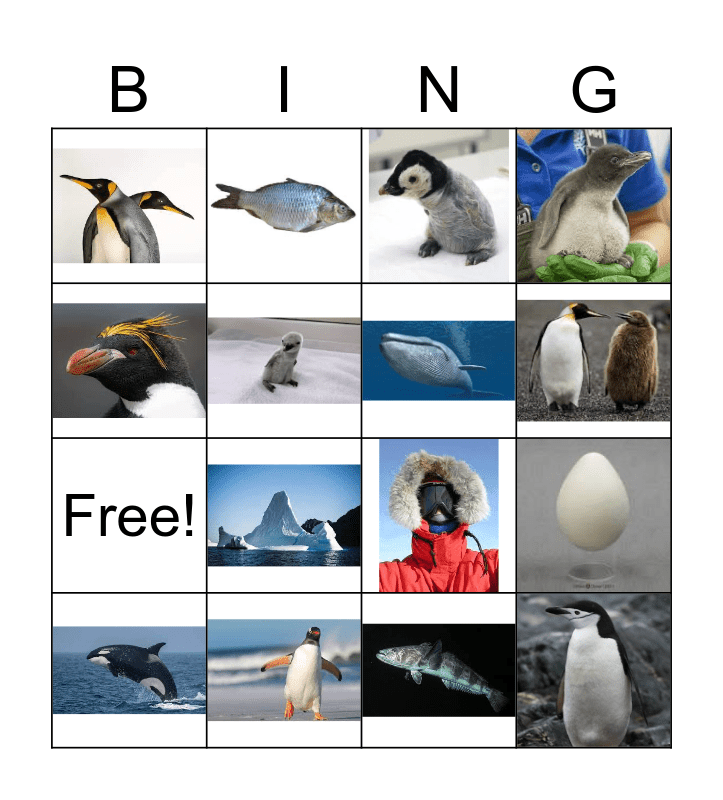 Penguins Bingo Card