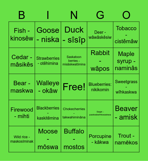Traditional Indigenous Food Bingo Card