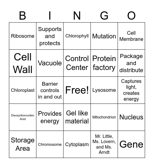 Organelles and Heredity BINGO Card