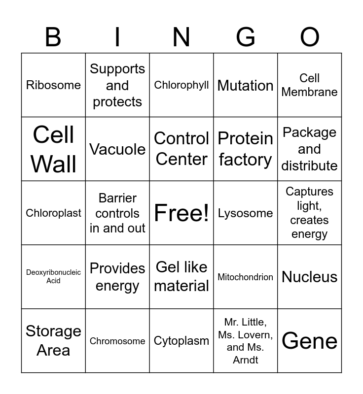 Organelles and Heredity BINGO Card