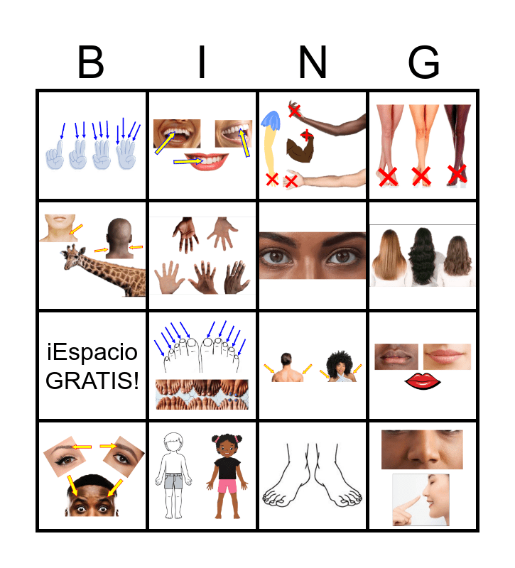 LAS PARTES DEL CUERPO Bingo Card