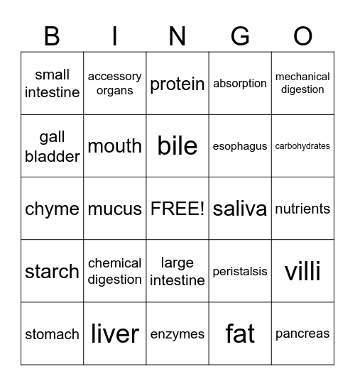 Digestive System Bingo Card