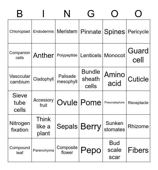 Plant Anatomy Bingo Card