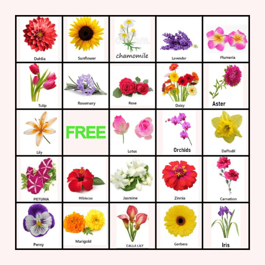 SPRING FLING BINGO Card