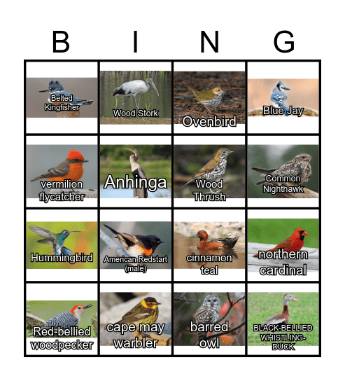 Bird Bingo Card
