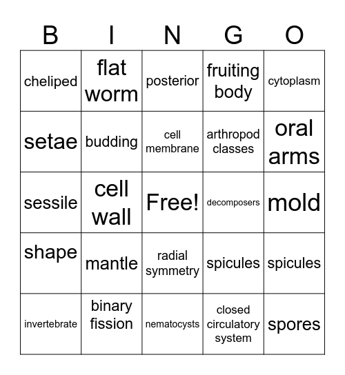 Exam Review Bingo Card