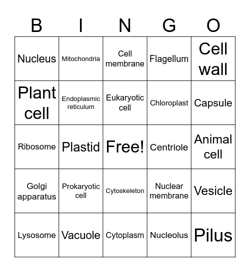 Cell & Organelles Bingo Card