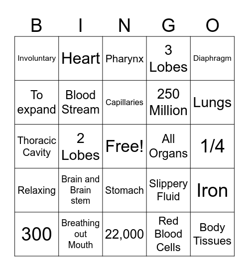 Respiratory System Bingo Card