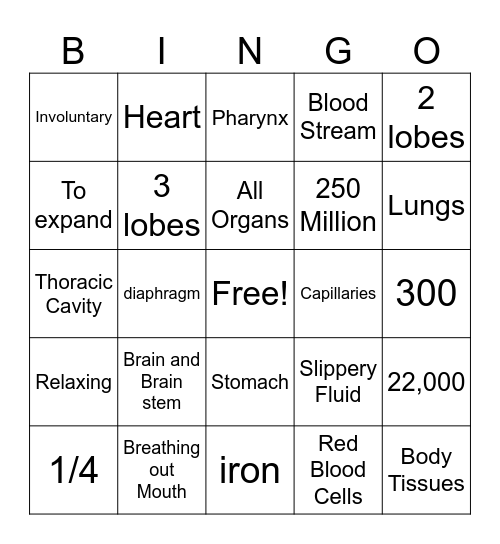 Respiratory System Bingo Card