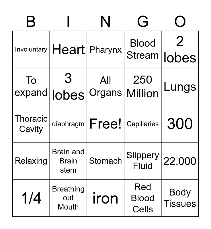 Respiratory System Bingo Card