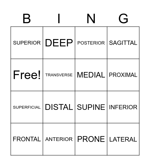 Anatomical Directions Bingo Card