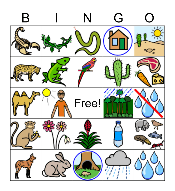 Desert & Rain Forest Habitat Bingo Card