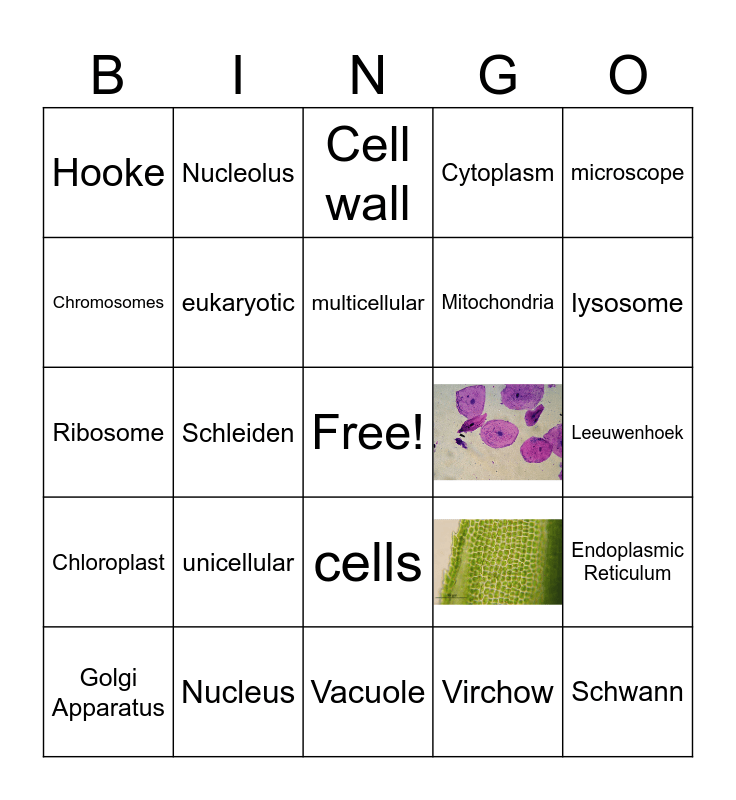 Cell Bingo Card