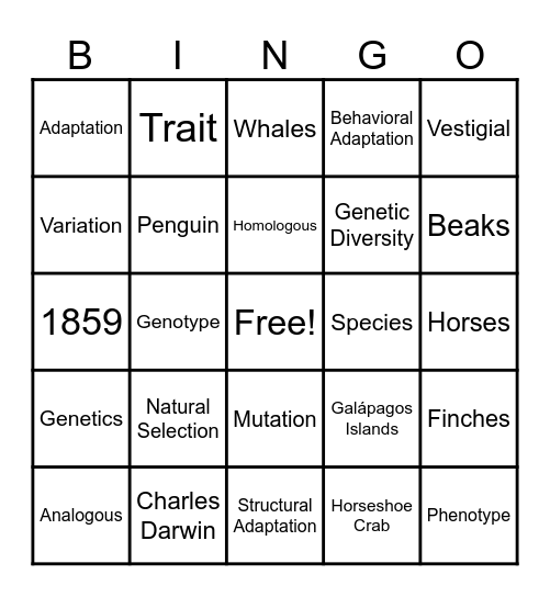 Evolution and Natural Selection Bingo Card