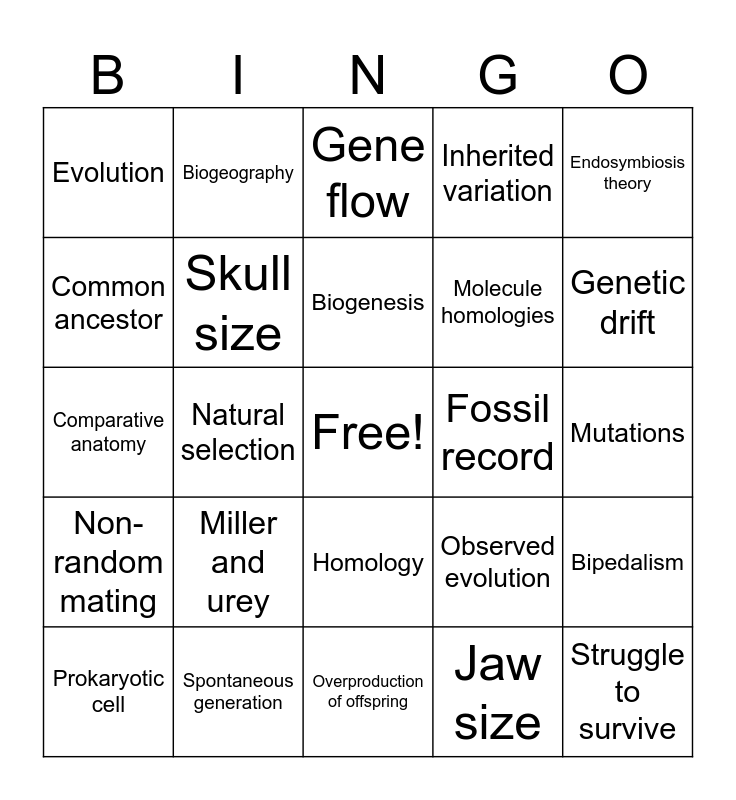 Evolution Bingo Card