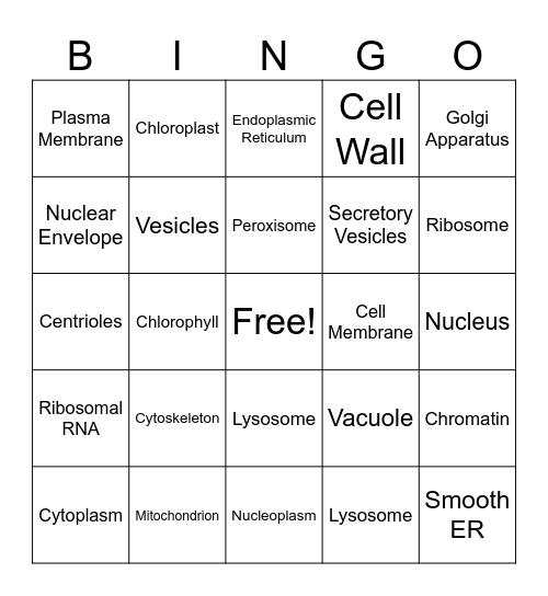 Cell Parts Bingo Card