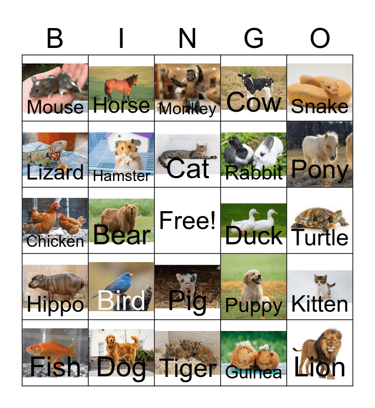 Pet Bingo Card