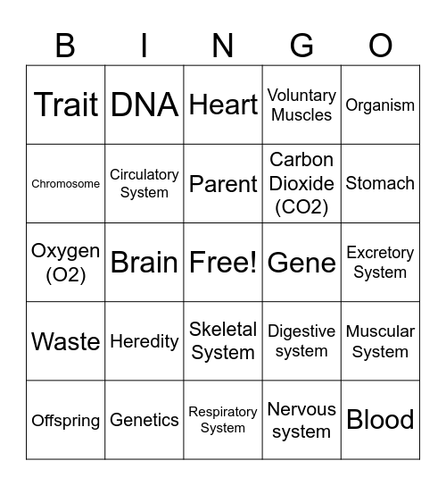 Science Review Bingo Card