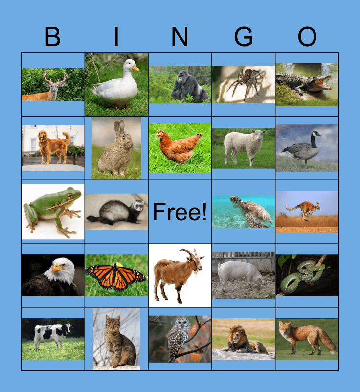 ANIMALS AND THEIR BABIES Bingo Card